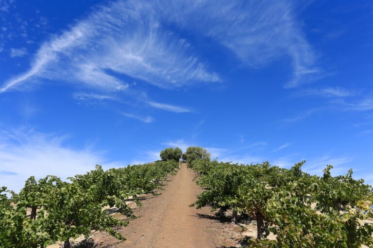 Shandon Chapel: The Mission on the Hill - California Through My Lens