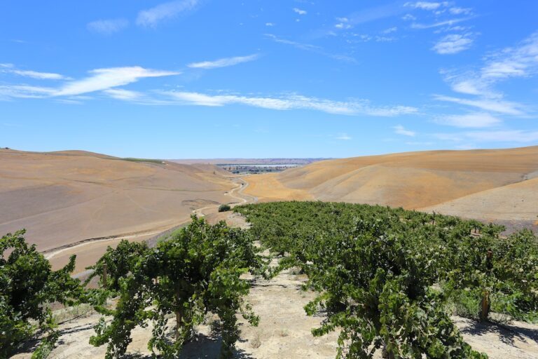 Shandon Chapel: The Mission on the Hill - California Through My Lens