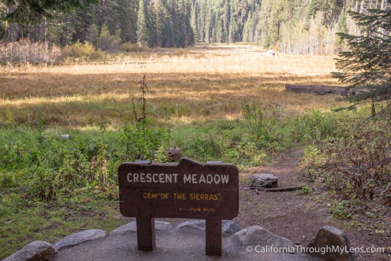 Crescent Meadow in Sequoia National Park - California Through My Lens