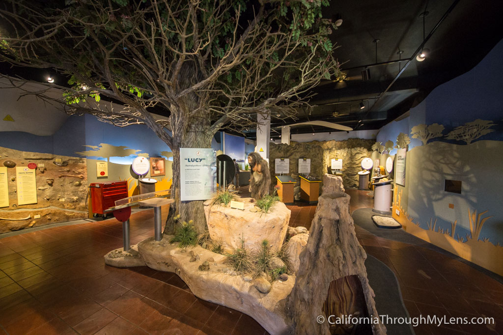 Museum Of Man in Balboa Park, San Diego - California Through My Lens