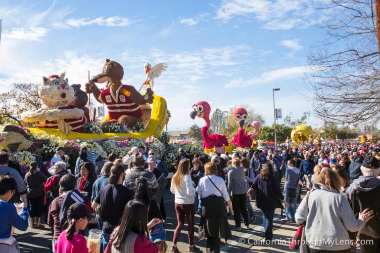 Tournament of Roses: Post Parade Float Viewing & Photography in ...