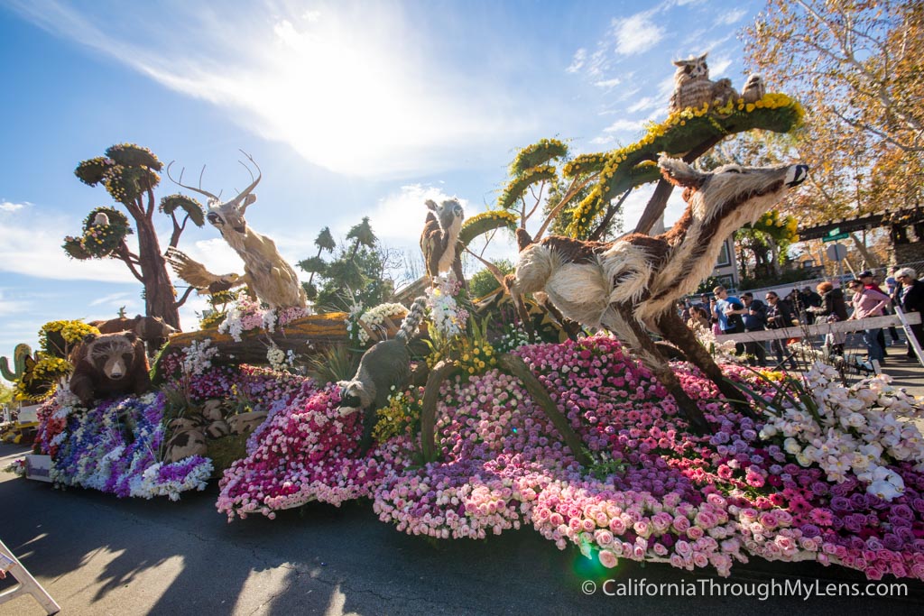 Tournament of Roses: Post Parade Float Viewing & Photography in ...