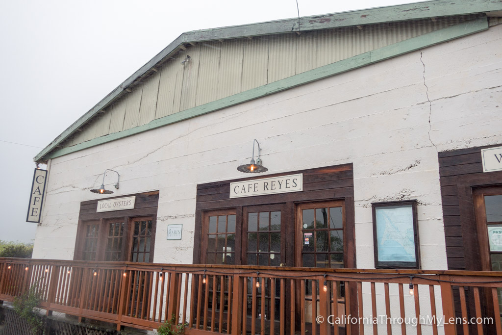 Cafe Reyes: Oysters & Wood Fired Pizza Outside Point Reyes National ...