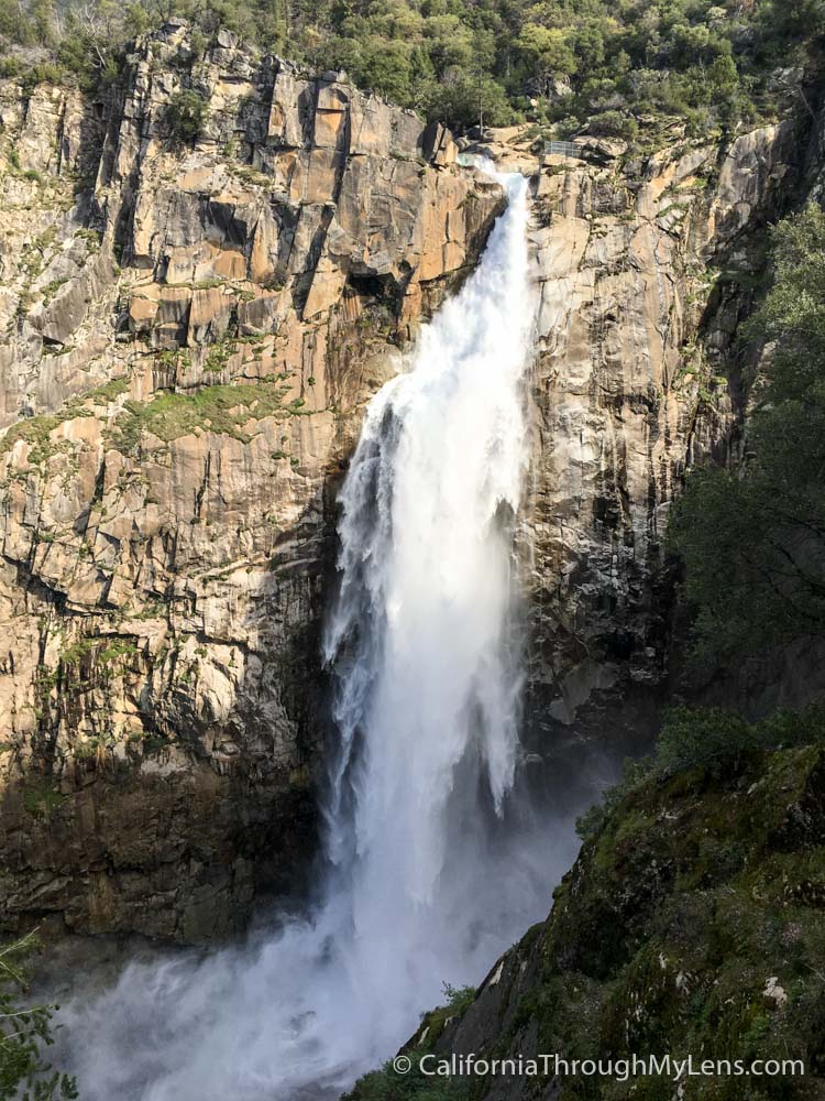 Highway 99 Road Trip Stops: Parks, Food, Treehouses & Gardens ...