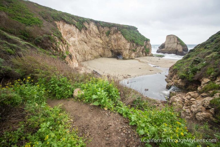 Shark Fin Cove: One of Northern California's Best Beaches - California ...