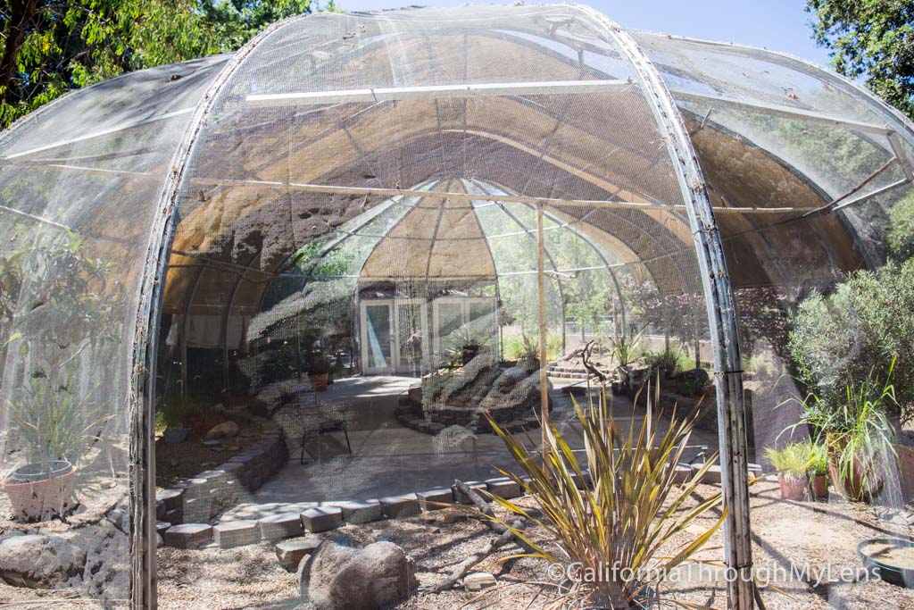 Visiting the Micke Grove Zoo in Lodi - California Through My Lens