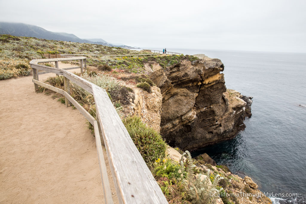 Sea Lion Trail in Point Lobos Natural Reserve - California Through My Lens