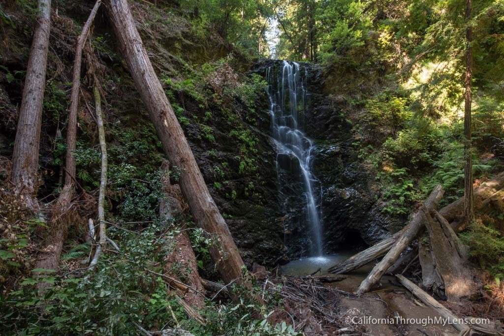 Big Basin State Park: Hiking Berry Creek Falls, Silver Falls & Golden ...