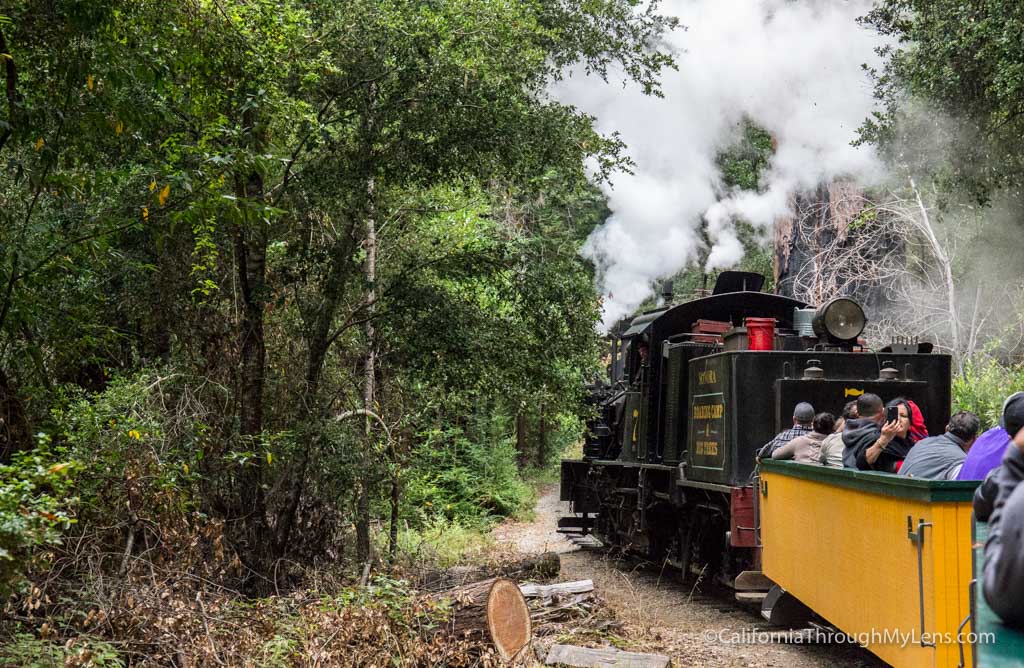 Roaring Camp & Big Trees Railroad: Riding a Steam Engine Through the ...