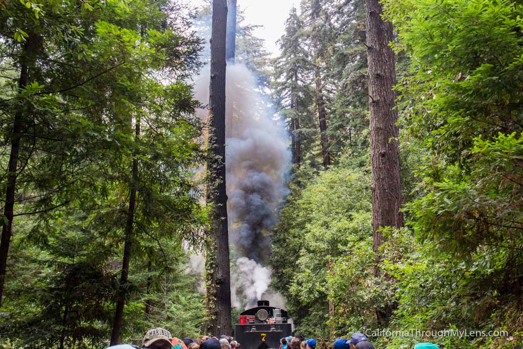 Roaring Camp & Big Trees Railroad: Riding a Steam Engine Through the ...