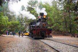 Roaring Camp & Big Trees Railroad: Riding a Steam Engine Through the ...