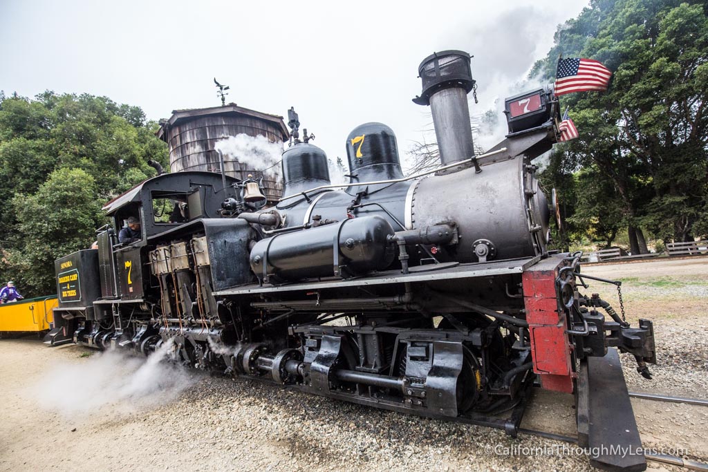 Roaring Camp & Big Trees Railroad: Riding a Steam Engine Through the ...