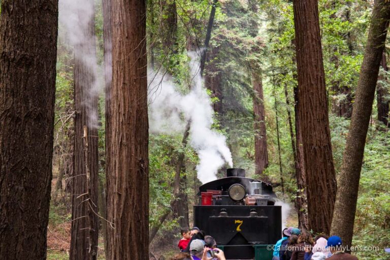 Roaring Camp & Big Trees Railroad: Riding a Steam Engine Through the ...