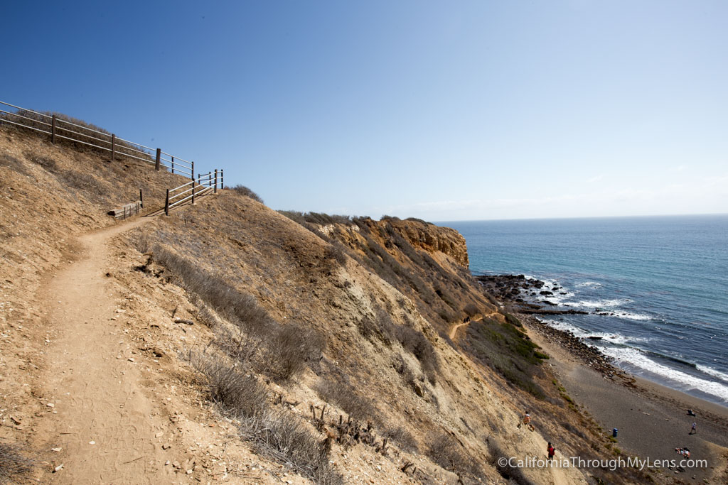 Abalone Cove Preserve: Beach Hiking & Tide Pools in Rancho Palos Verde ...