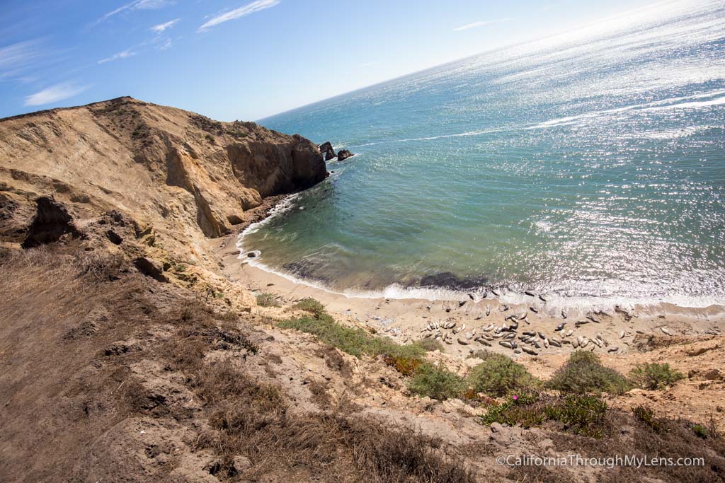 Chimney Rock Hike in Point Reyes National Seashore - California Through ...