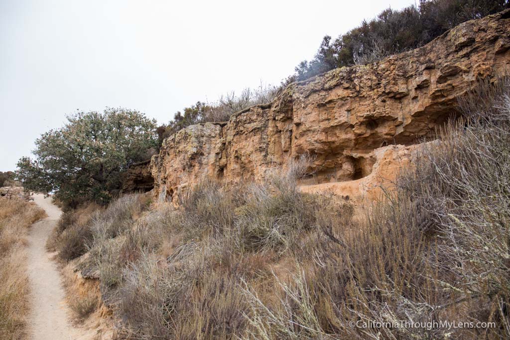 Fort Ord National Monument: Hiking from the Creekside Terrace Trailhead ...