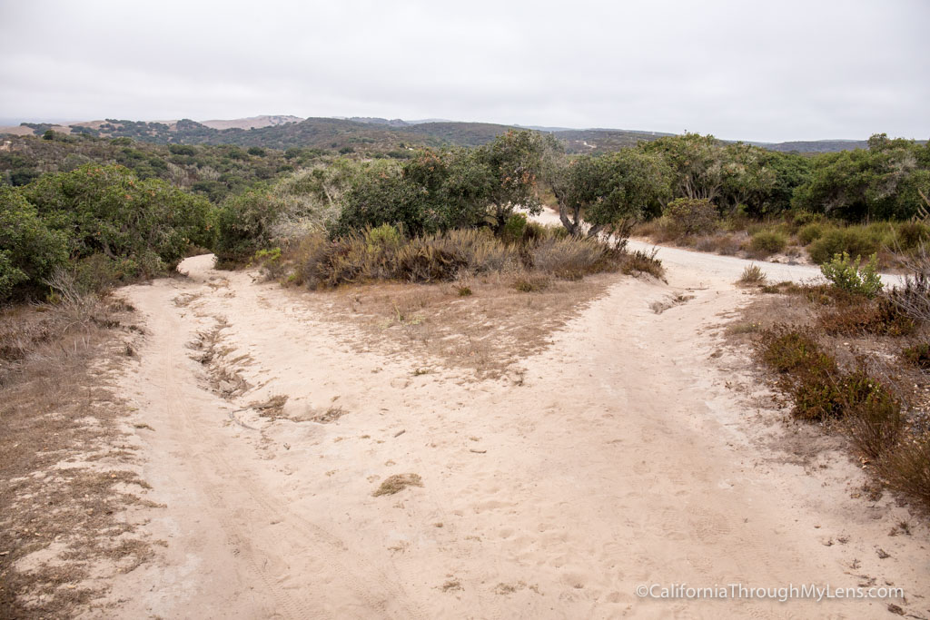 Fort Ord National Monument: Hiking from the Creekside Terrace Trailhead ...
