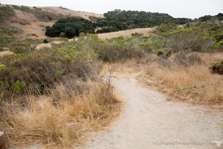 Fort Ord National Monument: Hiking from the Creekside Terrace Trailhead ...