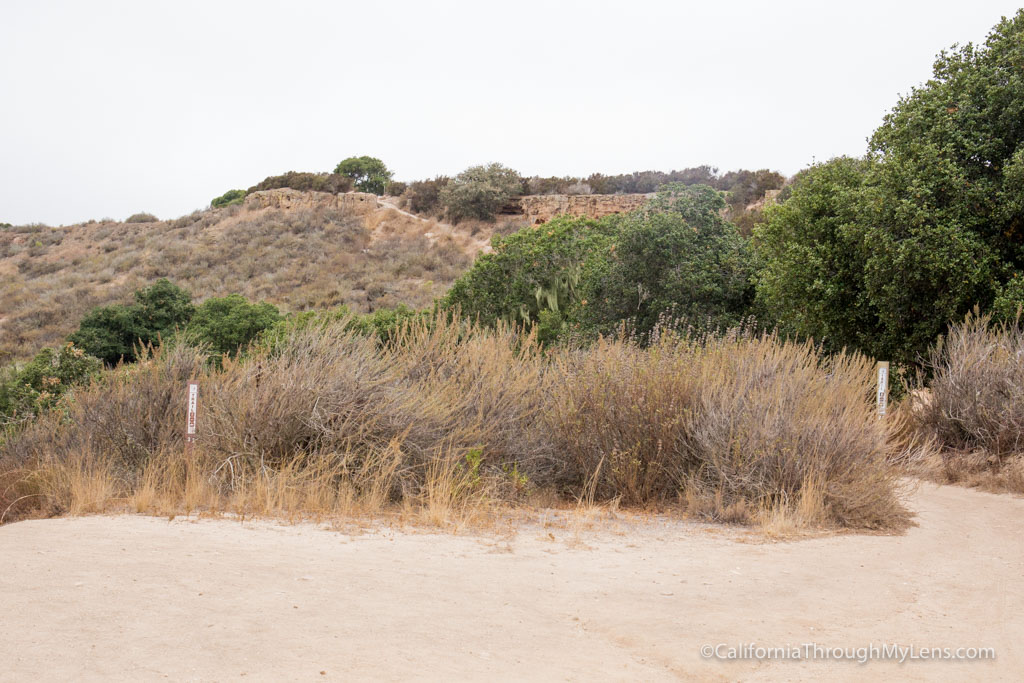 Fort Ord National Monument: Hiking from the Creekside Terrace Trailhead ...