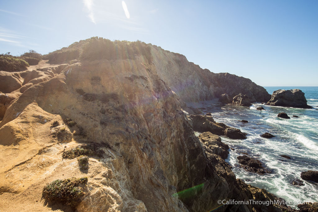 Tomales Point Hike: Seeing Tule Elk in Point Reyes National Seashore ...