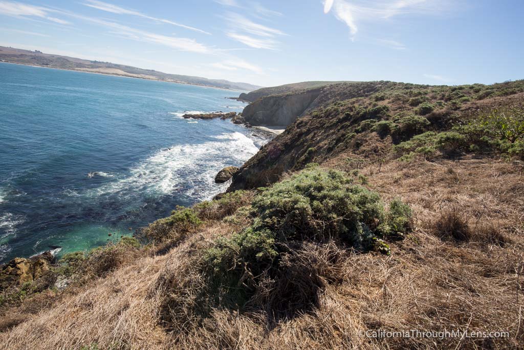 Tomales Point Hike: Seeing Tule Elk in Point Reyes National Seashore ...