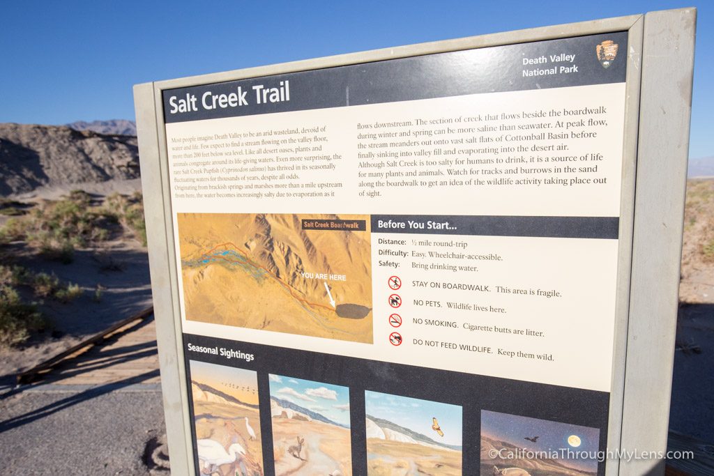 Salt Creek Trail: Seeing Pupfish in Death Valley - California Through ...