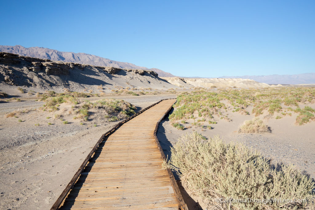 Salt Creek Trail: Seeing Pupfish in Death Valley - California Through ...