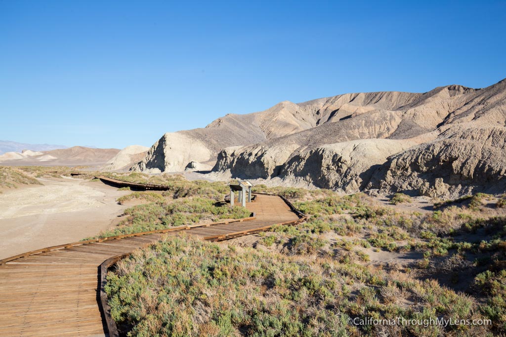 Salt Creek Trail: Seeing Pupfish in Death Valley - California Through ...