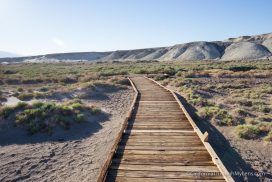 Salt Creek Trail: Seeing Pupfish in Death Valley - California Through ...