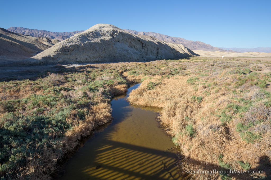 Salt Creek Trail: Seeing Pupfish in Death Valley - California Through ...