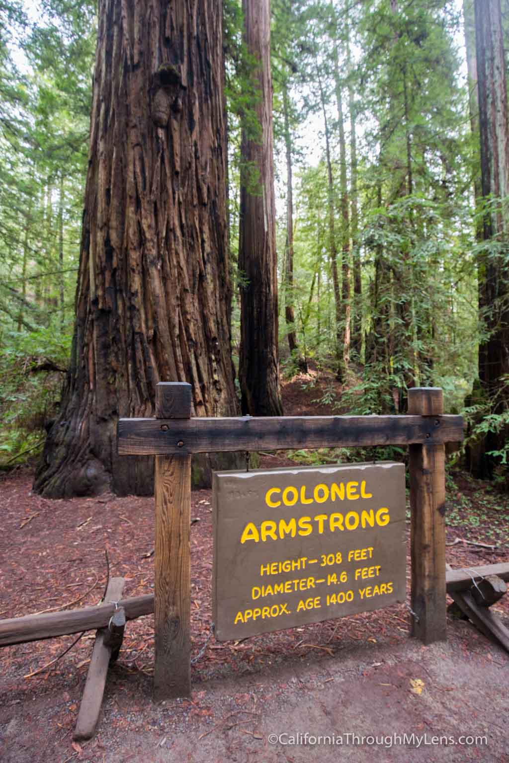 Armstrong Redwoods State Natural Reserve in Guerneville - California ...