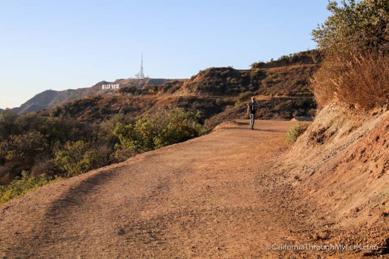 Mt Hollywood Trail: Hiking Above Griffith Observatory and Downtown LA ...