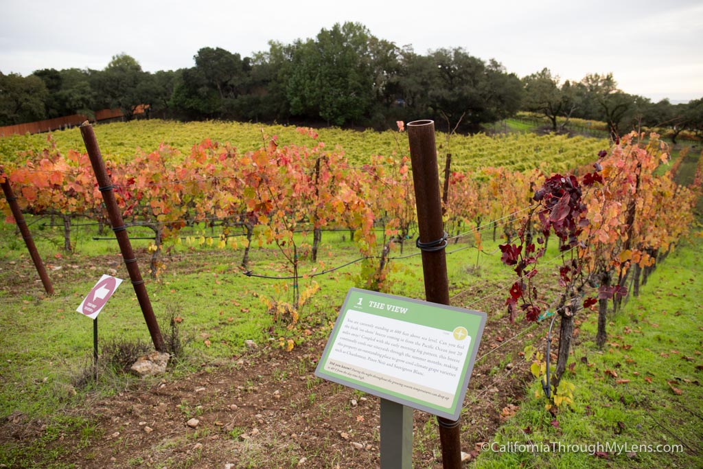 Paradise Ridge Winery In Santa Rosa: Sculpture Gardens, Wine Tasting ...