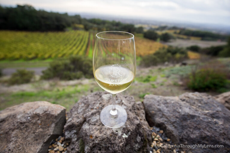 Paradise Ridge Winery In Santa Rosa: Sculpture Gardens, Wine Tasting ...