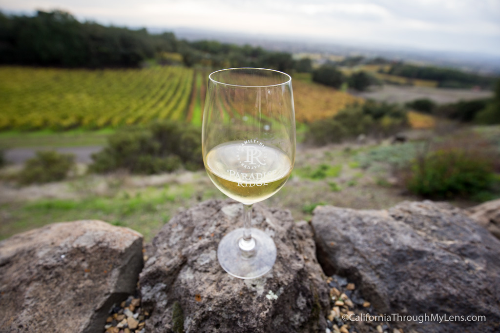 Paradise Ridge Winery In Santa Rosa: Sculpture Gardens, Wine Tasting ...