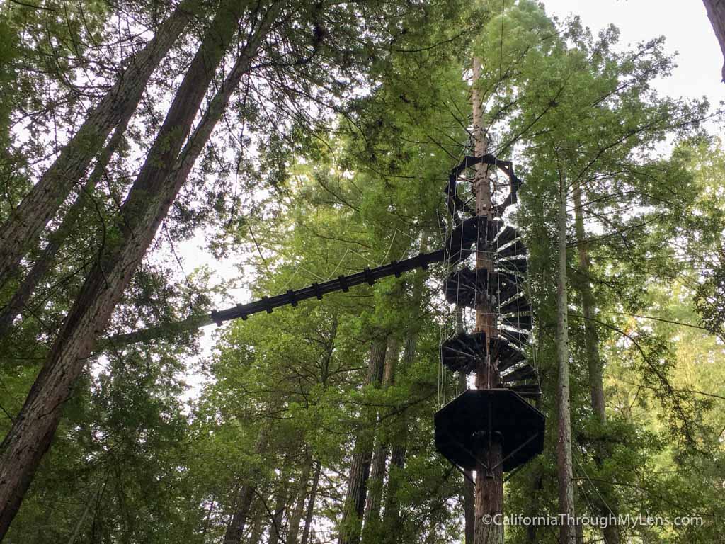 Ziplining in the Redwoods with Sonoma Canopy Tours - California Through ...