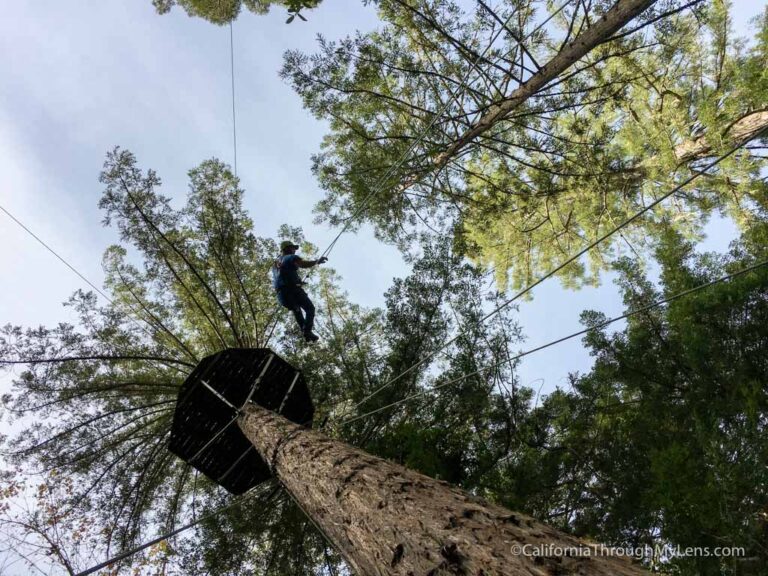 Ziplining in the Redwoods with Sonoma Canopy Tours - California Through ...
