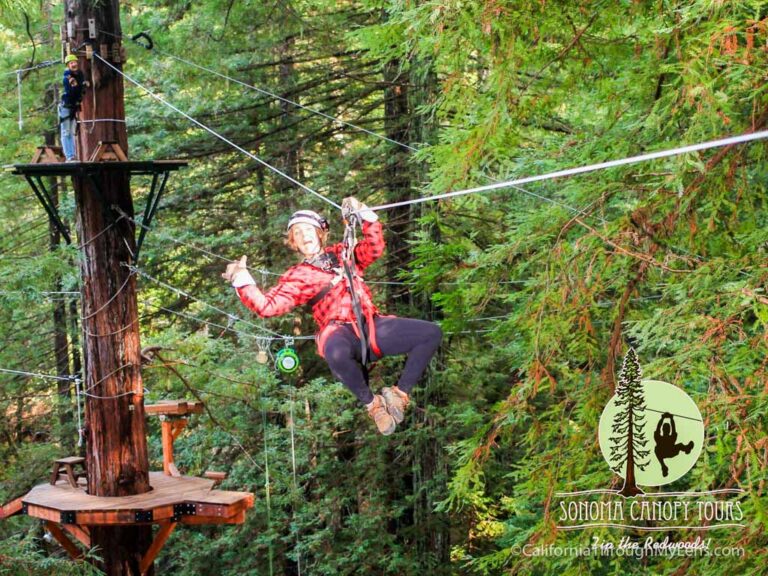 Ziplining in the Redwoods with Sonoma Canopy Tours - California Through ...