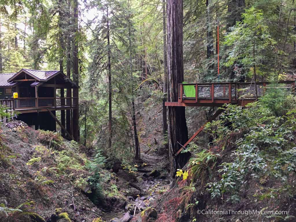 Ziplining in the Redwoods with Sonoma Canopy Tours - California Through ...