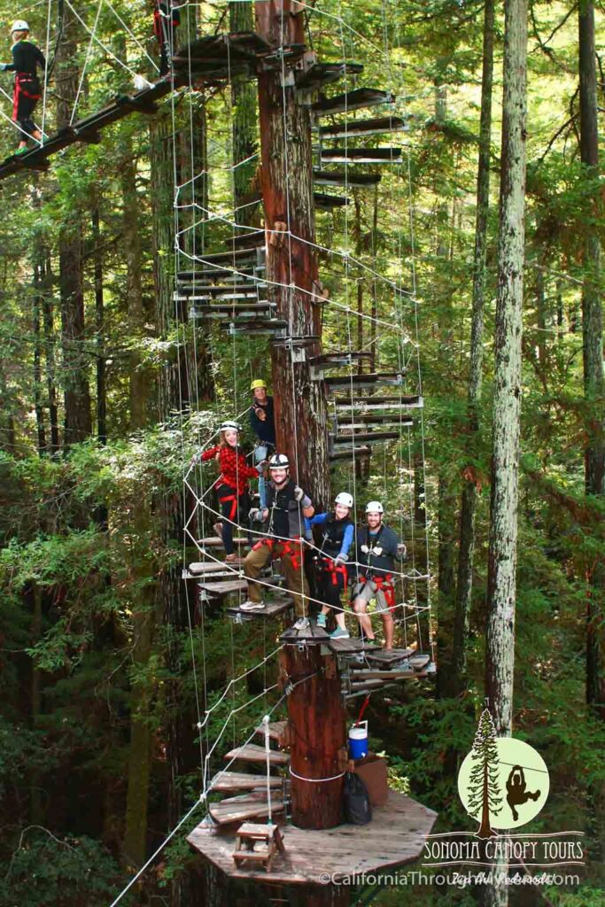 Ziplining in the Redwoods with Sonoma Canopy Tours - California Through ...