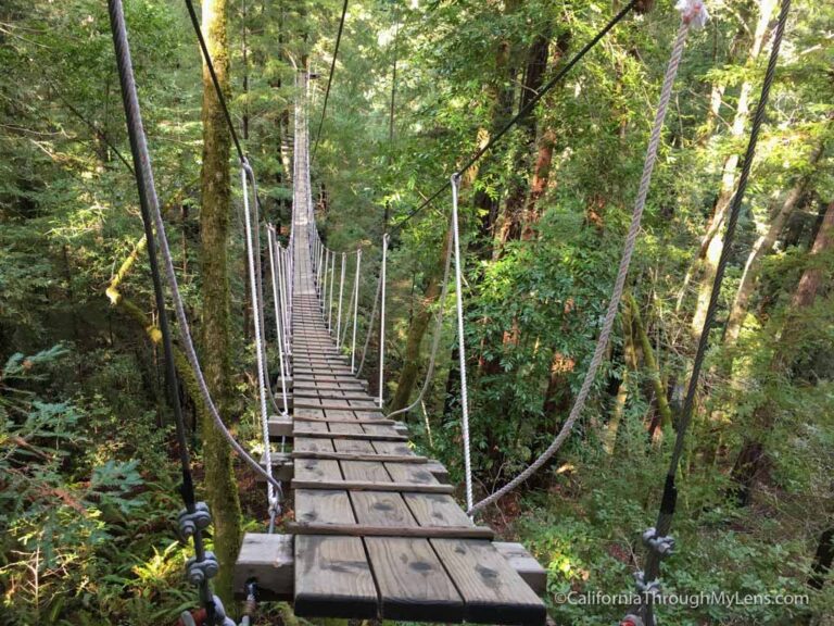 Ziplining in the Redwoods with Sonoma Canopy Tours - California Through ...
