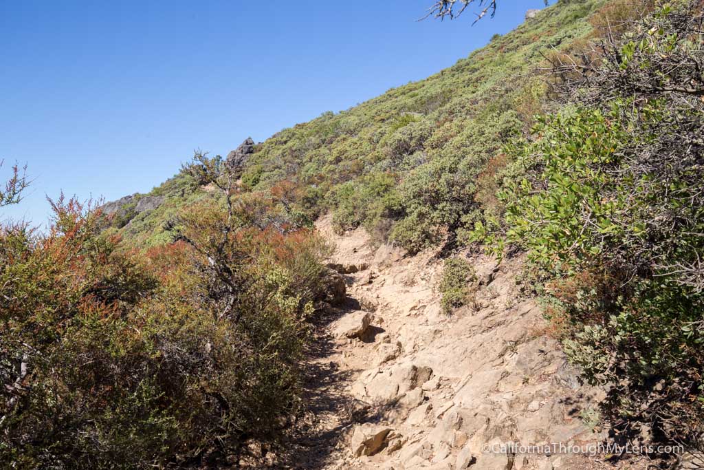 Mount Tamalpais: Verna Dunshee Trail & Fire Lookout from East Peak ...