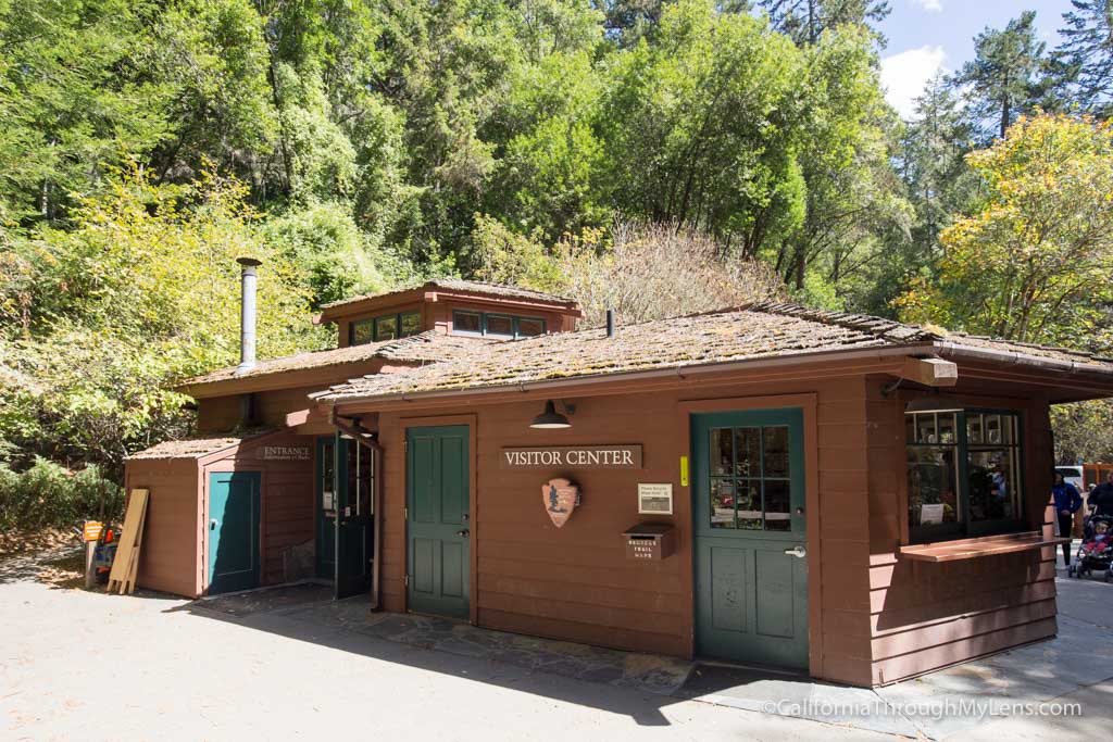 Muir Woods National Monument: Hiking the Bohemian Grove Trail ...