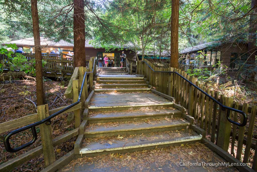 Muir Woods National Monument: Hiking the Bohemian Grove Trail ...