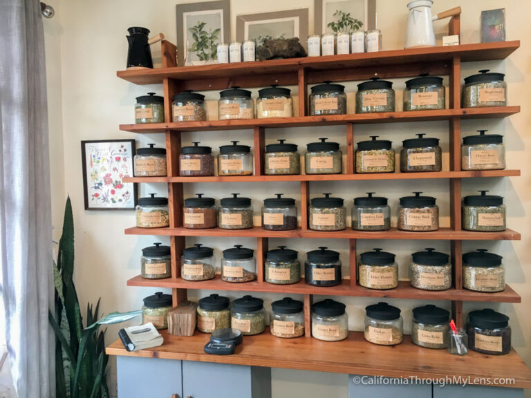 Temescal Alley: Where to Eat, Shop & Explore in Oakland's Favorite ...