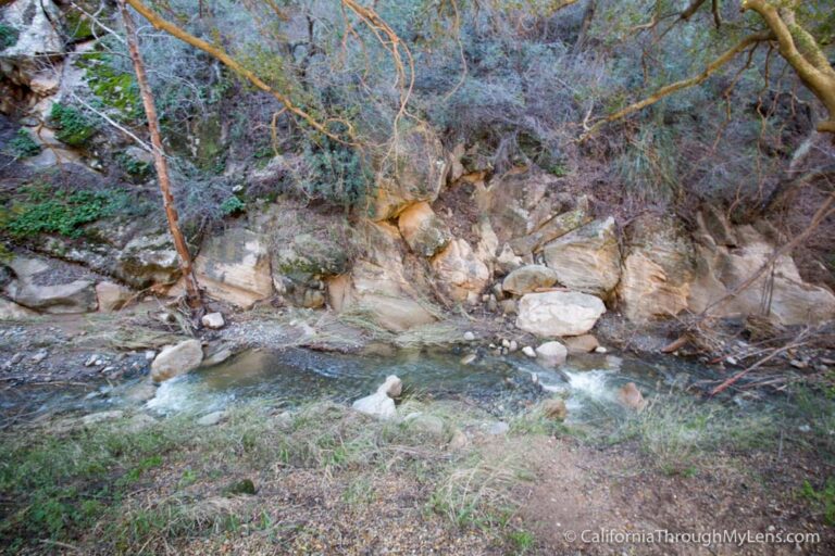 Black Star Canyon Falls: One of Southern California's Best & Most ...