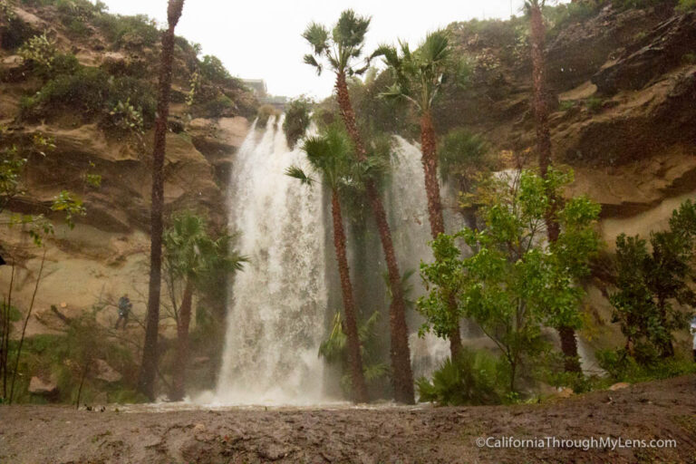 Dana Point Harbor Waterfall: One of SoCal's Most Spectacular Seasonal ...