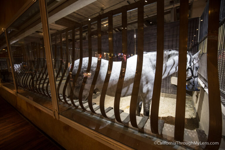 Medieval Times: Dinner & Jousting for the Whole Family in Buena Park ...