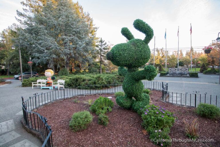Snoopy’s Home Ice Skating Rink & Warm Puppy Cafe in Santa Rosa ...