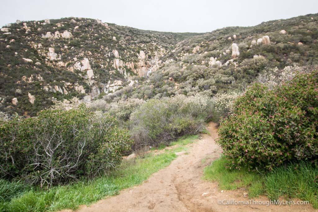 Ortega Falls: Hiking to a Waterfall Right Off Highway 74 - California ...
